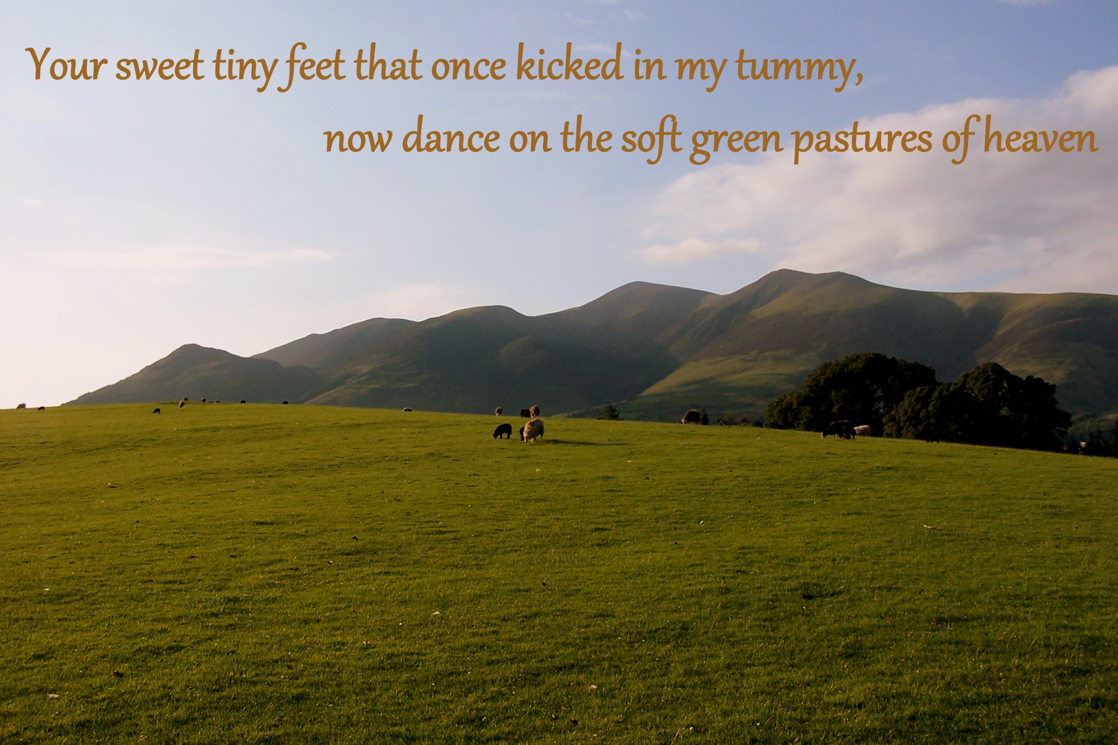 Helpful picture quotes | Sweet tiny feet